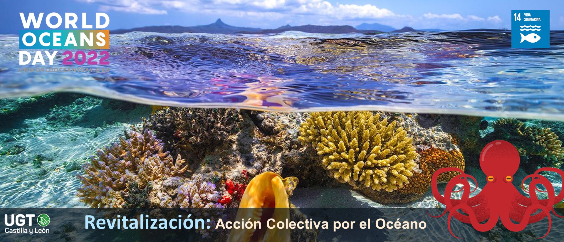 Área de Medio Ambiente de UGTCyL | Día Mundial de los océanos ...